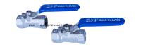 China Stainless Steel 1 PC Ball Valve Standard Port 1/4 NPT Female to Female 1000 psi for sale