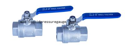 China Stainless Steel 2 PC Ball Instrument Manifold Valve 1000 psi 3/4 NPT Female to Female for sale