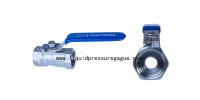 China SS304 1 Piece Ball Valve 1/2 NPT Female 1000 psi Industrial Manifold Valve for sale