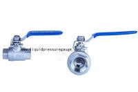 China Stainless Steel 2 PC Ball Valve Instrument Manifold 1/4 NPT Female 1000 psi for sale