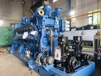 China Yuchai 1.5MW Skid-Mounted Container Gas Generator Set, Customized for Russia Cold Climate for sale