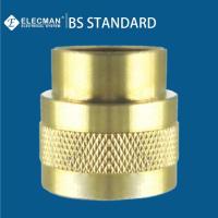 China BS4568 Brass Female Adaptor Straight Type 20mm 2 Inch Conduit Fitting for sale