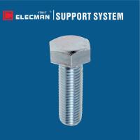 China Galvanized Carbon Steel Hexagonal Strut Fasteners Head Cap Screw for sale