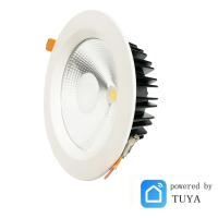 China Zigbee Smart LED Downlights RGBCW 20W-40W 90° Beam Angle with 50,000 Hour Lifespan for sale