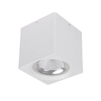 China IP65 Rated LED Downlight with 50,000+ Hour Lifespan - 6W to 24W Power Options in Warm White/White/Daylight for sale