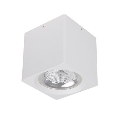 China IP65 Rated LED Downlight with 50,000+ Hour Lifespan - 6W to 24W Power Options in Warm White/White/Daylight for sale