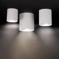 China IP65 Rated LED Downlight with 50,000+ Hour Lifespan - 6W to 24W Power Options in Warm White/White/Daylight for sale