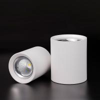 China IP65 Rated LED Downlight with 50,000+ Hour Lifespan - 6W to 24W Power Options in Warm White/White/Daylight for sale