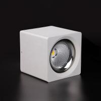 China 12W LED Gimbal Downlight with 24° Beam Angle and IP65 Rating for Commercial and Residential Lighting for sale