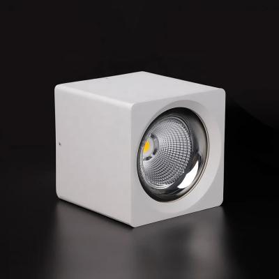 China 12W LED Gimbal Downlight with 24° Beam Angle and IP65 Rating for Commercial and Residential Lighting for sale