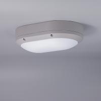 China Oval Aluminum Damp Proof LED Ceiling Light 20W 1500LM IP65 Rated for Indoor and Outdoor Use for sale