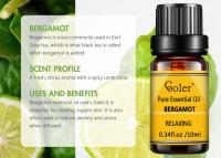 China Aromatherapy Bergamot Pure Essential Oils for sale