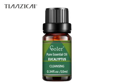 China Anti-Acne Shrink Pores Eucalyptus Pure Essential Oils , For Refreshing Energizing 10ml for sale
