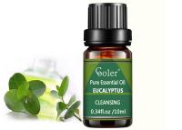 China Anti-Acne Shrink Pores Eucalyptus Pure Essential Oils , For Refreshing Energizing 10ml for sale