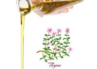 China Diffusion Thyme Pure Essential Oils Immune System Support Warm Herbaceous for sale