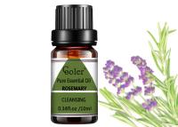 China 100% Pure Rosemary Essential Oil Strong Fresh Woody Herbaceous Smell for sale