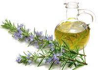 China 100% Pure Rosemary Essential Oil Strong Fresh Woody Herbaceous Smell for sale