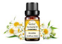 China Roma Chamomile Essential Oil Soothe Aches Hair Growth Anti - Microbial for sale