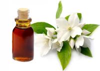China 10ml Per Bottle Pure Essential Oils , Jasmine Essential Oil Blends Uplifting for sale