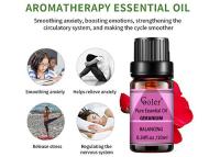 China Geranium Blossom Pure Essential Oils Cell Growth Stimulation Skin Rejuvenate for sale