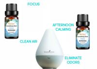 China Distillation Extract Pure Nature Essential Oils Natural Synergy Blend Food Grade for sale