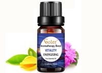 China Refreshing Calming Essential Oils Vitality Energy Glass Bottle Packaging For Diffuser for sale