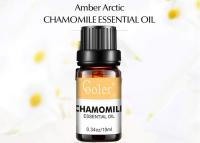 China Soothe Aches Chamomile Essential Oil Euro Dropper Fresh Aroma Odor Anti Inflammatory for sale
