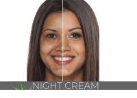 China Oil Control Night Moisturizer Cream Anti Wrinkle Revitalizing Rejuvenates Smooth Tender for sale