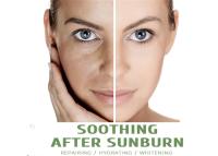 China 100ml Self Tanning Sun Cream After Sun Moisturizer For Face And Body Aloe Vera Restorative for sale