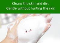China Gentle Face Cleanser Skin Care Texture Improvement Highly Effective Abundant Foam for sale