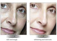 China Non Greasy Anti Aging Night Cream , Intensive Night Cream Fragrance Free Light Scented for sale