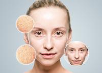 China Natural Face Moisturizer Cream Extra Nourishing Hydrating Daily Facial Cream for sale