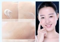 China Natural Face Moisturizer Cream Extra Nourishing Hydrating Daily Facial Cream for sale