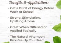 China 30ml 100% Pure Essential Oils Energy Synergy Refreshing for sale