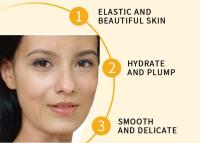 China Anti-wrinkle Skin Rejuvenation Cream Prevent Skin Aging Lifting Moisturizing for sale