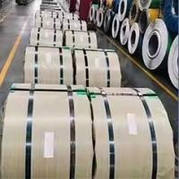 China RAL Color PPGI PPGL Sheet Pre Painted DX51D Galvanized Steel Coil Standard Package Cold Rolled Hot Rolled Packages for sale