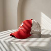 China Structured Crown Cotton Mesh Cap Cotton Twill Front Mesh Back Snapback Ventilated for sale