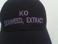 China Pigment Dyed Embroidery Baseball Cap Washed Fade Vintage Crown Custom Logo Design Cap for sale
