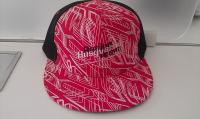 China Inside Taping Print Custom Logo Baseball Caps Hidden Seam Detail Flat Bill Design for sale