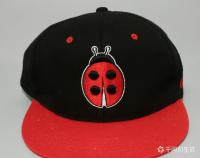 China 3D Puff Embroidery Flat Bill Snapback Twill Cotton Custom Logo Design Cap for sale
