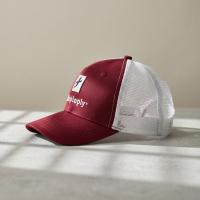 China Cotton Twill Front Mesh Back Custom Trucker Cap Embroidery Design Style for sale