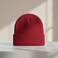 China Acrylic Knit Custom Beanie Hat OEM Embroidery Logo For Winter for sale
