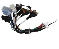 China Heavy Duty Electrical Wiring Harness Marine Grade Waterproof Wiring Harness for sale