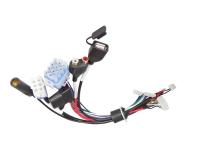 China Car Wiring Harness Assembly Length 150mm Entertainment OEM FCC Certificate for sale