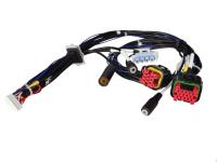 China 16 Pin Boat Radio Wiring Harness Custom Cable Assembly ISO Certificate for sale
