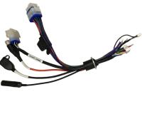 China Remote Control Auto Stereo Wiring Harness Plug Customize Marine Boat for sale