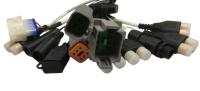 China Custom Waterproof Automotive Assembly Cable Manufacturer Electrical Auto Wire Harness for sale