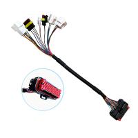 China Professional Wiring Harness Manufacture Custom OBD Y Cable 2 Male to Female Spliter Cable for sale