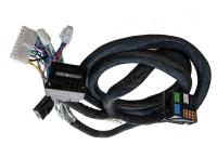 China More Than 14 Years Factory Custom Wiring Harness VW Passat/Porsche/Audi/BMW/ for sale