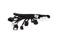 China Toyota 2012 Tailgate Automotive Wire Harness Assembly Car Lift Electric for sale